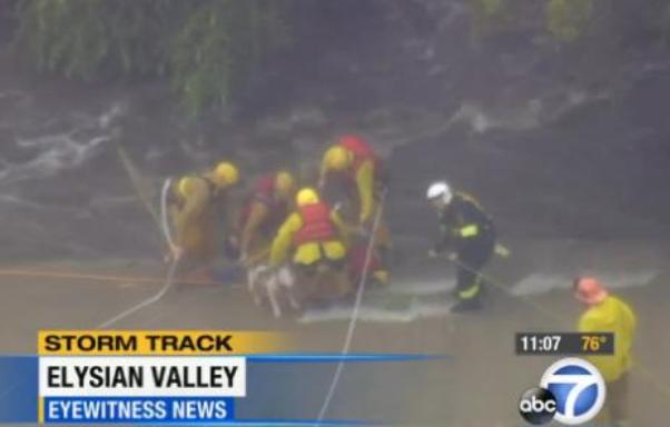 Man and Dog Rescued from Tree above Raging L.A. River [Video]